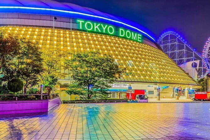 Shibuya / Shinjuku 90min Go Karting Tour - *IDP required!* - The Sum Up: Who’s This Tour For?