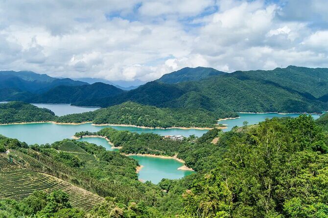 Shiding Tea Township: Half-Day chartered Tour from Taipei - A Practical Dive into the Tour Experience