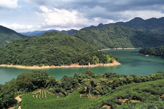 Shiding Tea Township Half-Day Tour from Taipei - FAQ