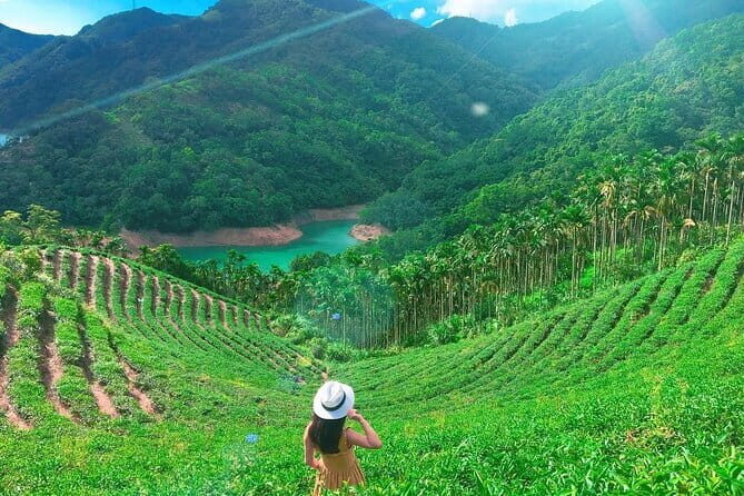 Shiding Tea Township Half-Day Tour from Taipei - Key Points