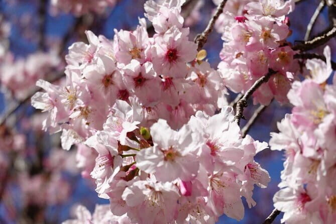 Shifen, Jiufen, Jinguashi & Gold Museum One Day Tour From Taipei - FAQ