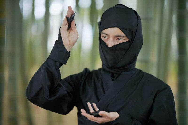 Shiga: Explore the Secret World of Koka Ninja - Key Points