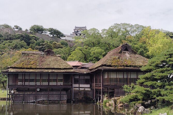 Shiga: Future World Heritage Site Hikone Castle Guided Tour - Value and Cost Analysis