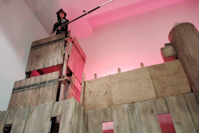 Shiga: Guided Tour of Oda Nobunagas Azuchi Castle Legacy - Who Will Benefit Most from This Tour?