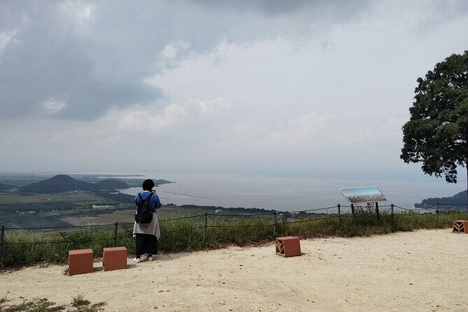 Shiga: Omi-Hachiman Heritage Tour with Optional Omi Beef - Price and Value