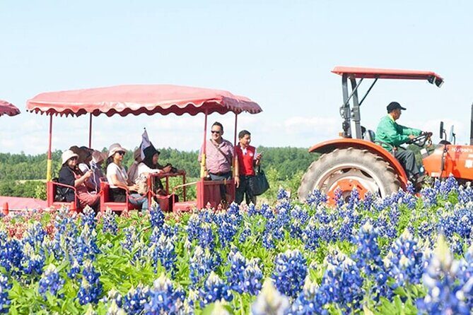 Shikisai-no-Oka Fairy Terrace Tour, optional lunch from Sapporo - Practical Tips for Travelers