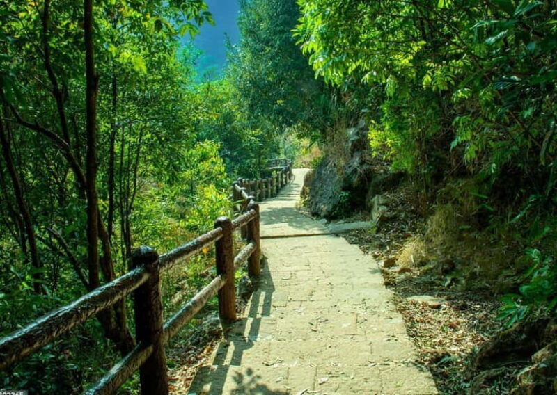 Shillong Green Trails: Guided Trekking Experience with local - A Closer Look at the Itinerary