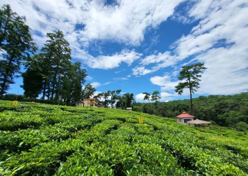 Shillong: Guided Half-Day Sightseeing Tour by Car - Cultural Insights at the State Museum