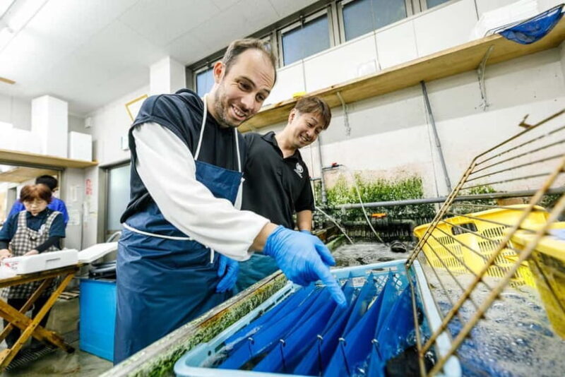 Shima: Standard Fish Shop Tour & Workshop - A Closer Look at the Experience