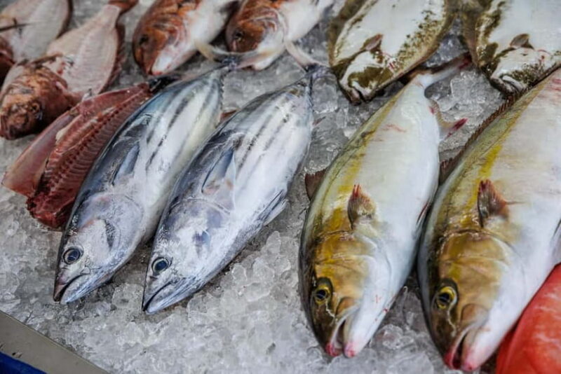 Shima: Standard Fish Shop Tour & Workshop - Is This Tour Right for You?