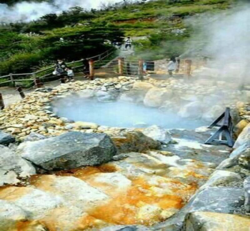 Shimizu: Hakone full-day Private Tour with Guide - Key Points