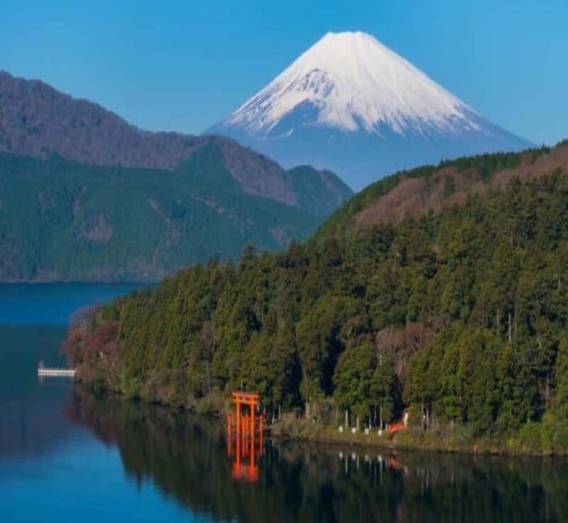 Shimizu: Hakone full-day Private Tour with Guide - Who Should Consider This Tour?