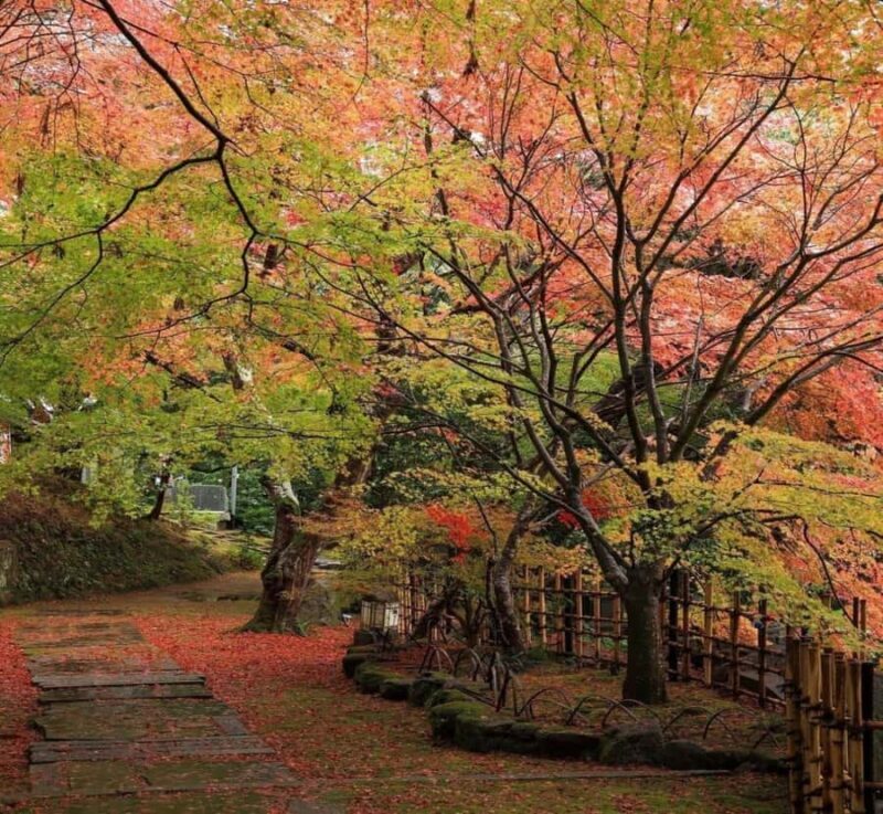 Shimizu: Kyoto Private Custom Day Tour with English guide - Valuing the Experience