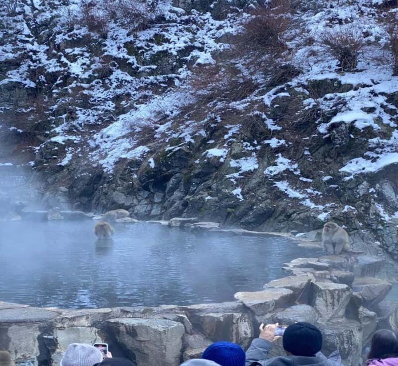 Shimizu: Nagano Private Full-Day Tour with Guide - Is This Tour Worth It?