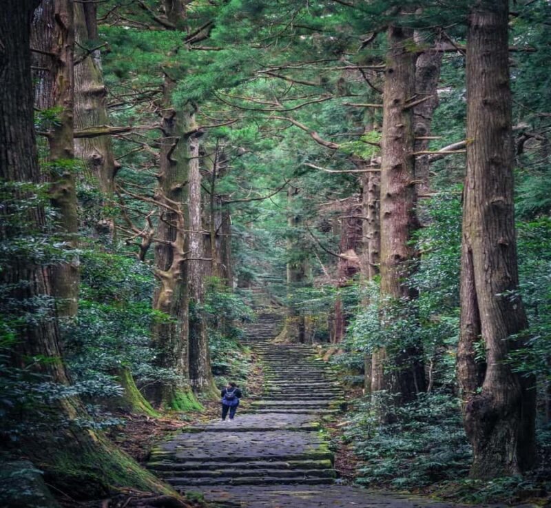 Shimizu: Nikko Private Historical & Spiritual full-day Tour - Accessibility & Comfort