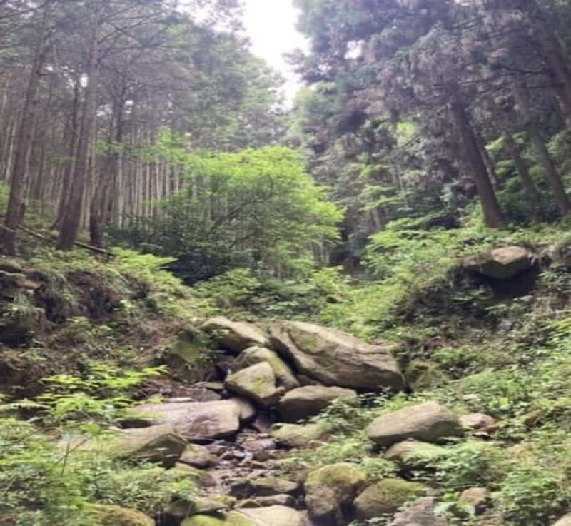 Shimizu: Nikko Private Historical & Spiritual full-day Tour - Cost & Value