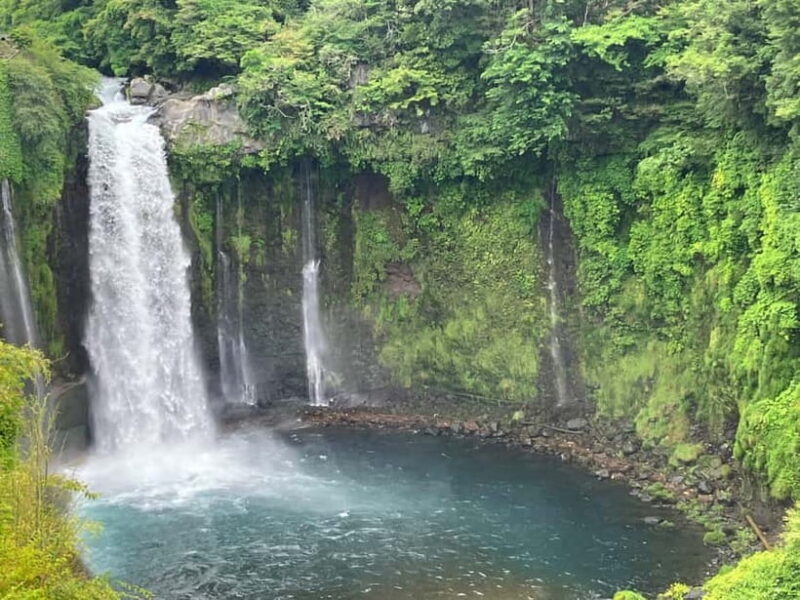Shimizu Port: Fujinomiya Shore Excursion, The Mt Fuji Story - An In-Depth Look at the tour experience