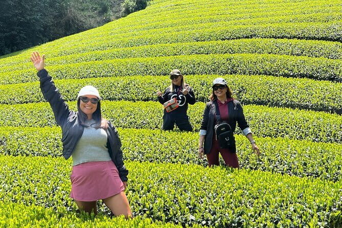 Shimizu Port to Mt. Fuji Guided Private Tour GREEN NUMBER PLATES - The Sum Up