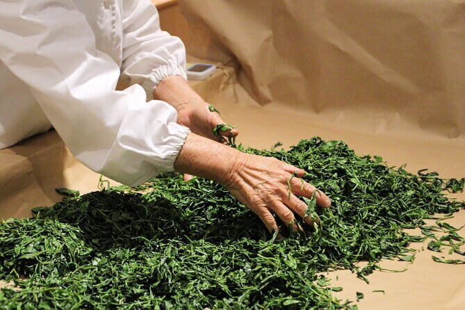 Shimizu Port to Mt. Fuji Guided Private Tour GREEN NUMBER PLATES - FAQ