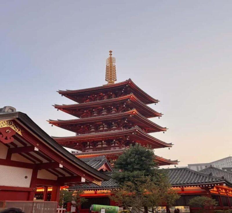 Shimizu: Tokyo Private Day Trip with Guide - Final Thoughts: Who Will Love This Tour?