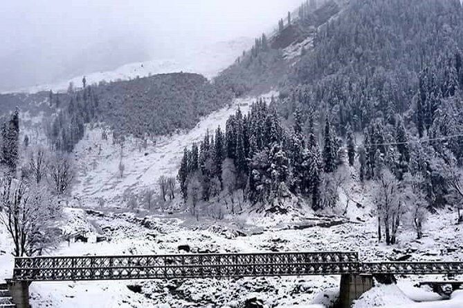 Shimla 4-Day Private Tour from Delhi - Practical Tips for Choosing This Tour