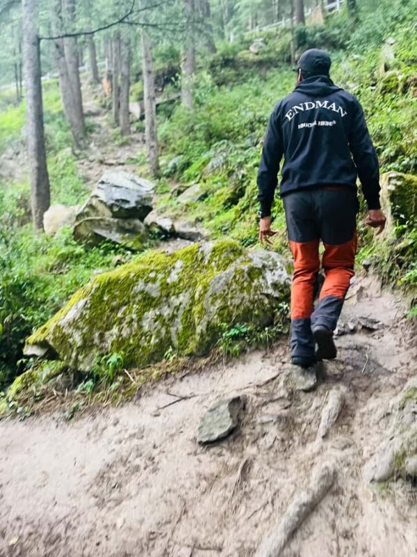 Shimla: Beginner-Friendly Rappelling & Climbing Tour - Key Points