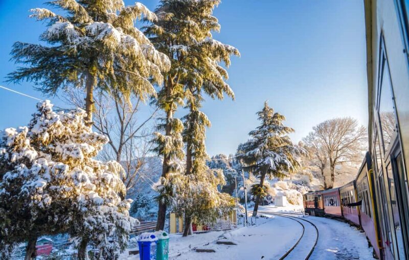 Shimla: Guided City Day Tour with Kufri Hill Station Visit - Key Points