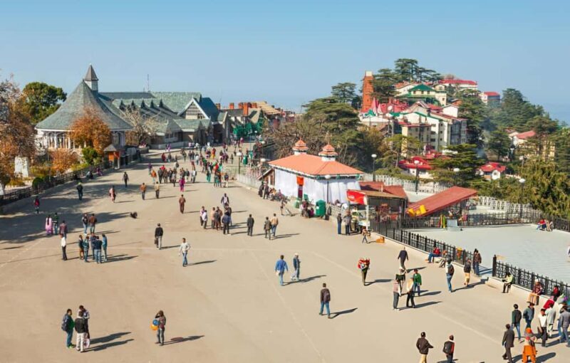 Shimla: Guided City Day Tour with Kufri Hill Station Visit - Who Will Love This Experience?