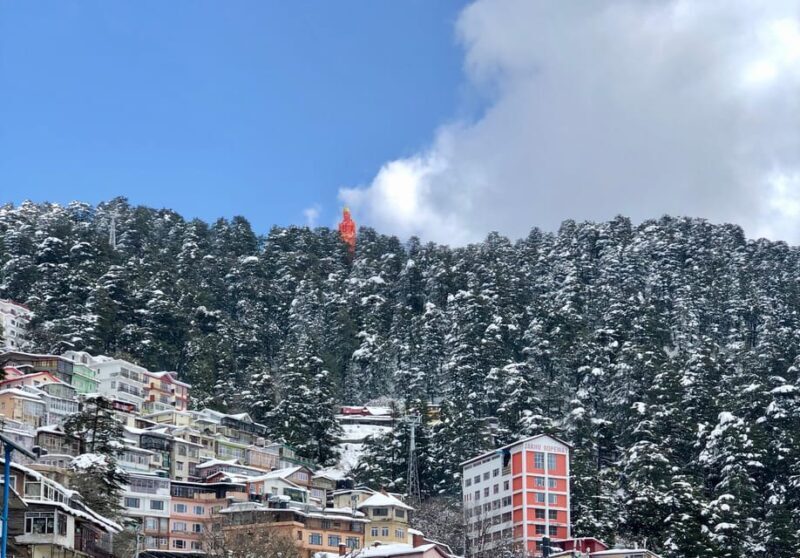 Shimla: Hiking Tour to Jakhu Hill with Local Guide - Who Should Consider This Tour?