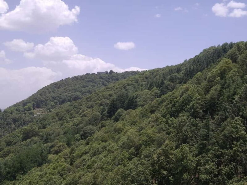 Shimla: Hiking Tour to Taradevi Hill with Local Driver Guide - The Value of the Experience