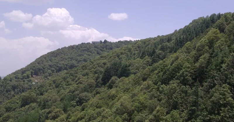 Shimla: Hiking Tour to Taradevi Hill with Local Driver Guide - The Authenticity and Community Spirit