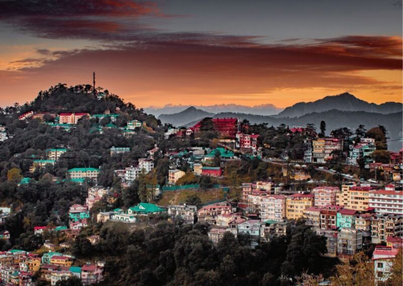 Shimla Nature Walk (3 Hours Guided Trekking Experience) - Key Points