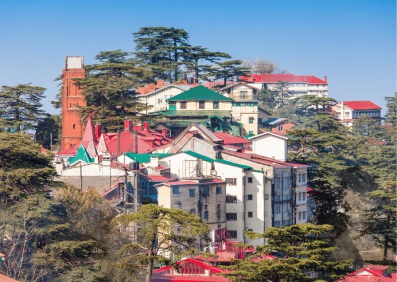 Shimla Nature Walk (3 Hours Guided Trekking Experience) - Exploring Forest Hill Road and Heritage Sites