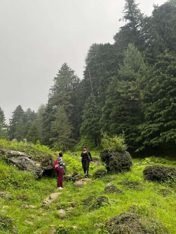 Shimla: Shali Tibba Guided Hike with Scenic Views - What’s Included and Practical Considerations
