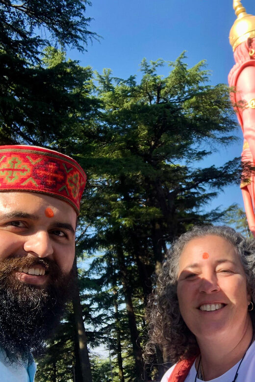 Shimla: Temples Tour with full day Local Driver Guide - An In-Depth Look at the Temples Tour in Shimla