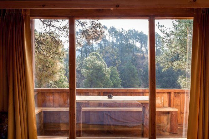 Shimla Treehouse Stay - What You Can Expect During Your Stay