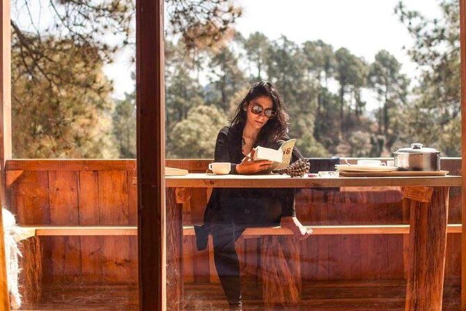 Shimla Treehouse Stay - The Ideal Traveler for a Shimla Treehouse Stay