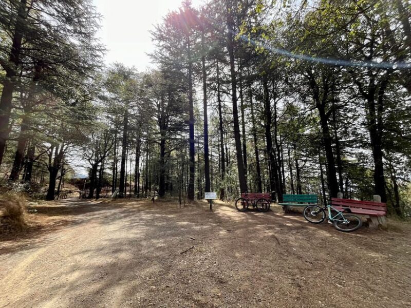 Shimla: Wildlife Sanctuary & Water Catchment Guided Tour - An In-Depth Look at the Tour Experience