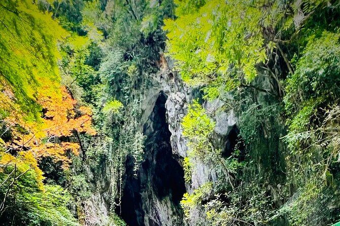 Shimonoseki Bus Tour from Fukuoka Tsunoshima Bridge - The Itinerary in Detail