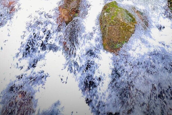 Shimonoseki Bus Tour from Fukuoka Tsunoshima Bridge - Practical Tips