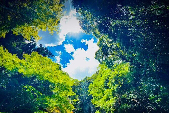 Shimonoseki Bus Tour from Fukuoka Tsunoshima Bridge - Who Should Consider This Tour?