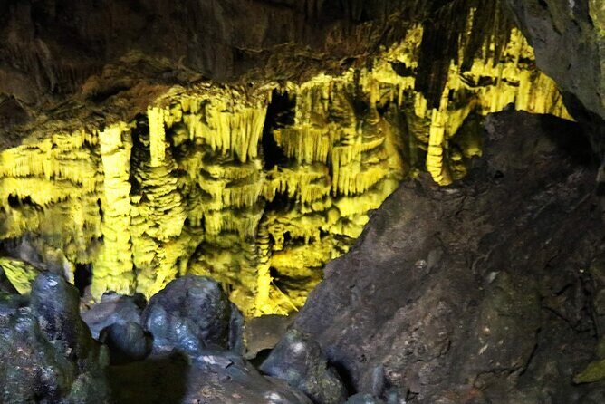 Shimonoseki Bus Tour from Fukuoka Tsunoshima Bridge - The Sum Up