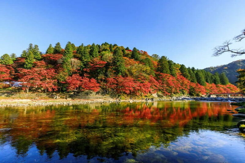 Shin-Toyota: Korankei/Obara Bus Tour with Persimmon Tasting - An In-Depth Look at the Tour Experience