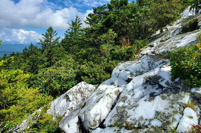 Shining Rock Guided Tour - The Sum Up