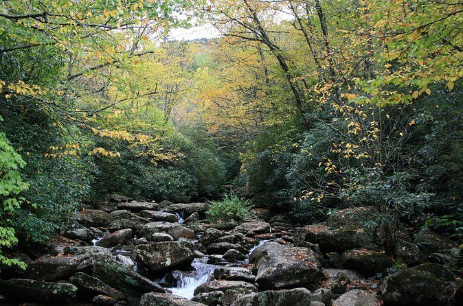 Shining Rock Guided Tour - FAQs