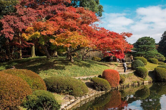 Shinjuku Gyoen National Garden 2 Hour Walking Tour - Who Will Love This Tour?