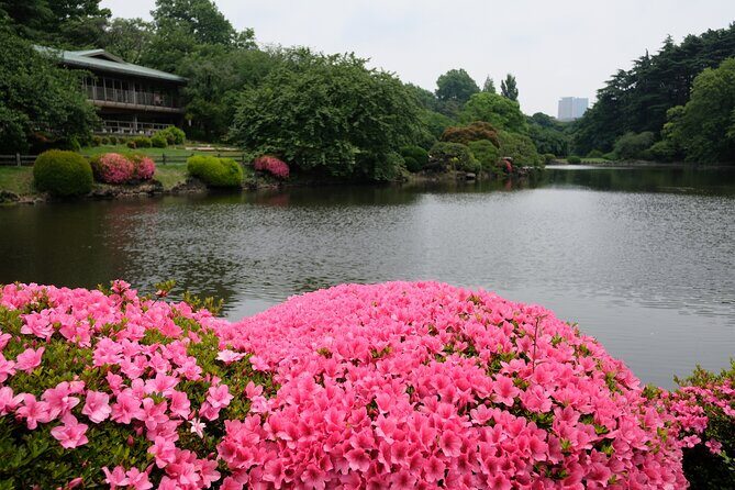 Shinjuku Gyoen National Garden 2 Hour Walking Tour - FAQ