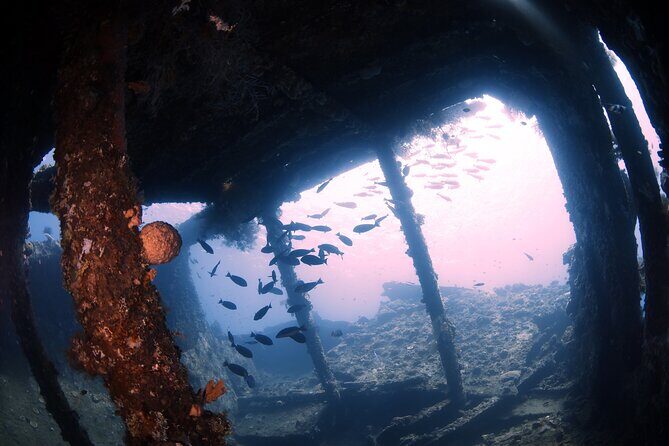 Shipwreck Diving in Tulamben - Who Should Book This Tour?