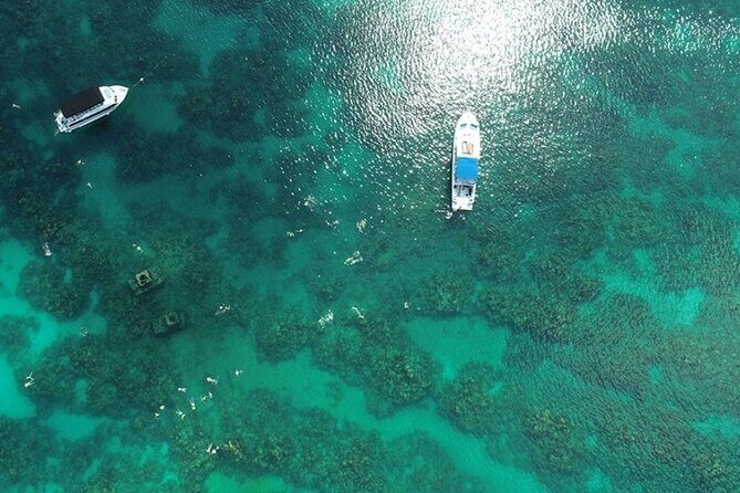 Shipwreck Snorkel in Bermuda - Who Will Love This Tour?