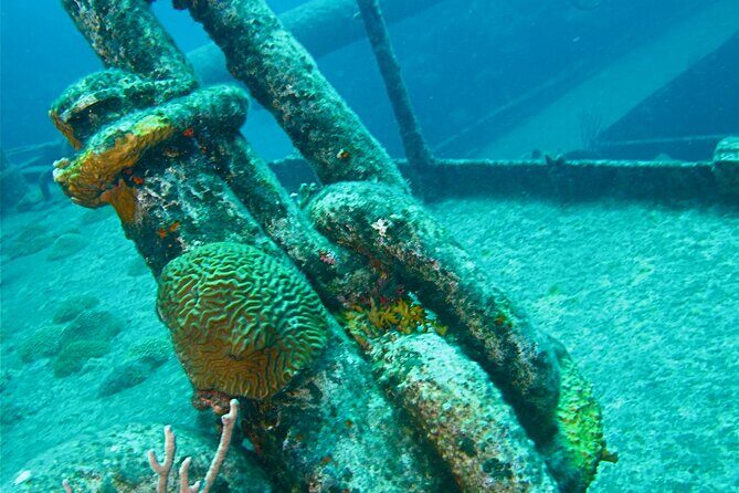 Shipwreck Snorkel in Bermuda - FAQs